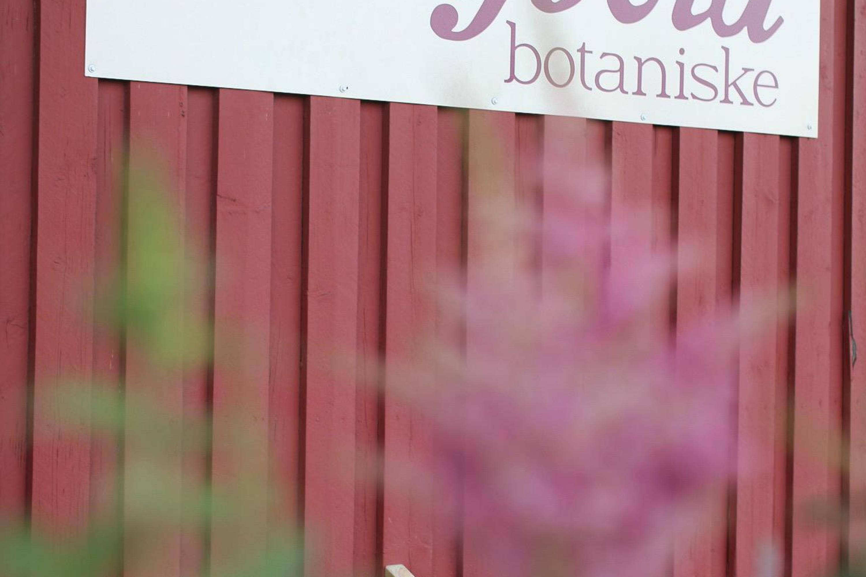 Ringvold Botaniske gårdsbutikk og hagesenter - Visit Øst-Norge